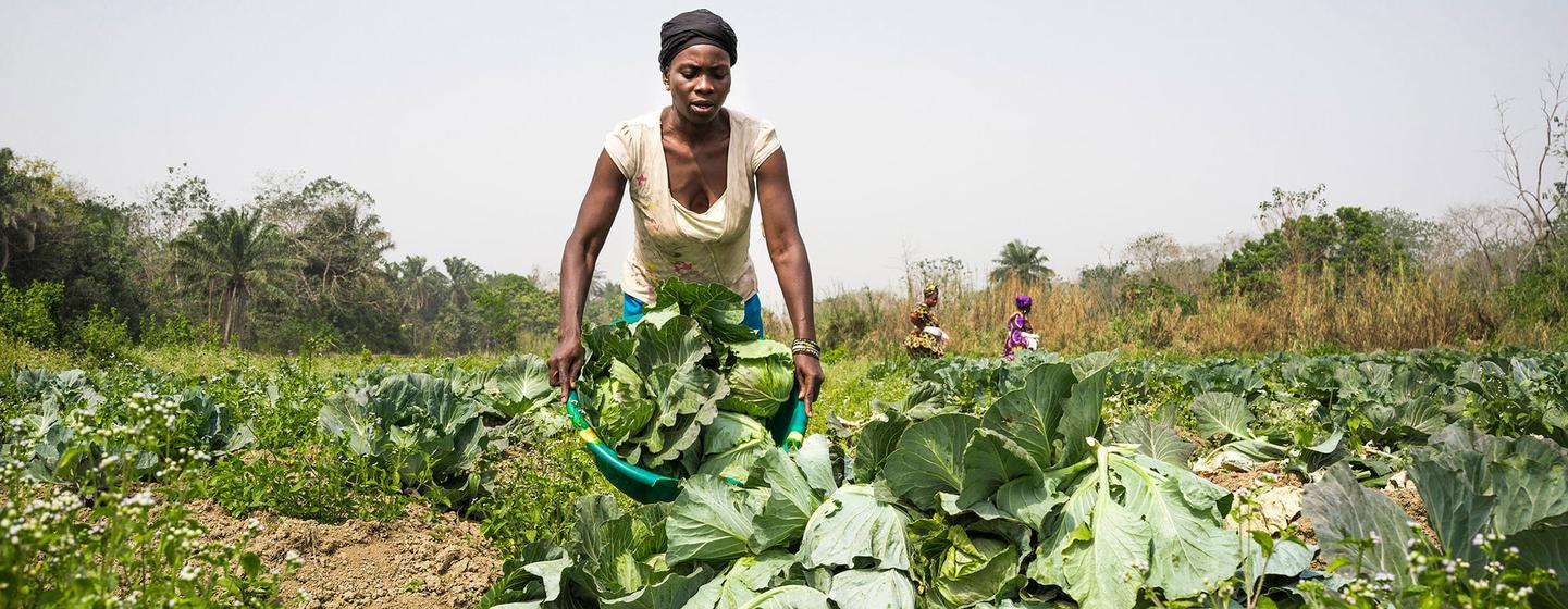 La Desigualdad De Género En Alimentación Y Agricultura Cuestan Al Mundo